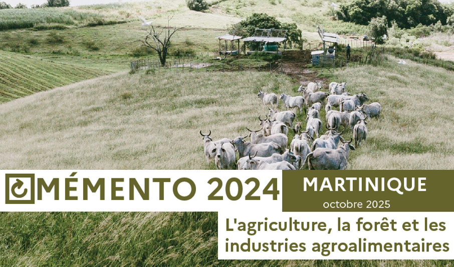 Mémento édition 2025 | DAAF Martinique