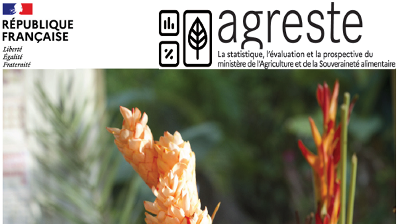 Memento édition 2023 | DAAF Martinique